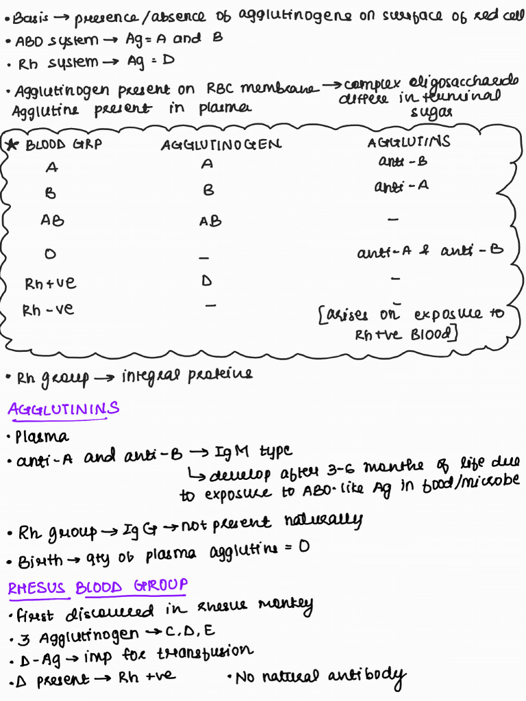 Blood Group | PDF