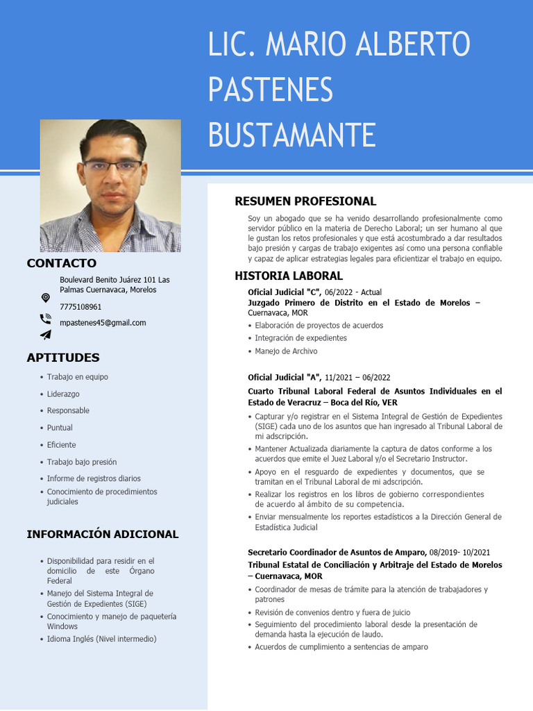 Perfil Profesional de Mario Alberto Gómez Retiz | PDF | Judicaturas ...
