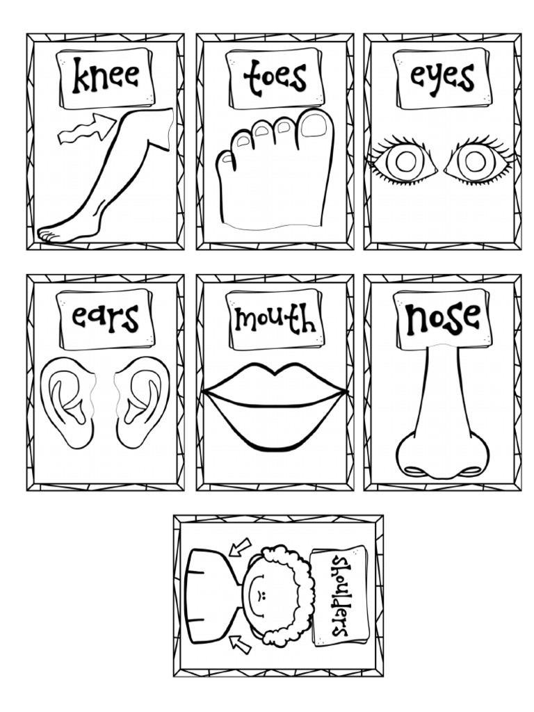 Body Parts Color | PDF