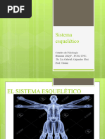 Ejemplos de Palabras Con El Prefijo Bio | PDF | Tierra | Biología