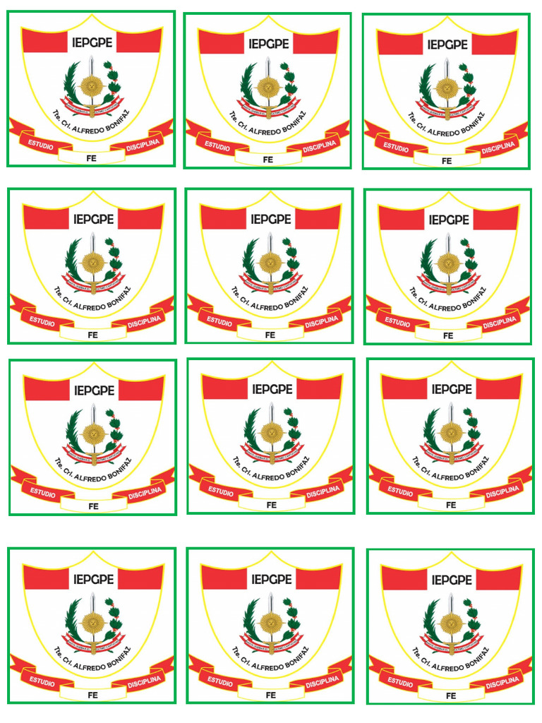 Insignia Bonifaz 2 | PDF