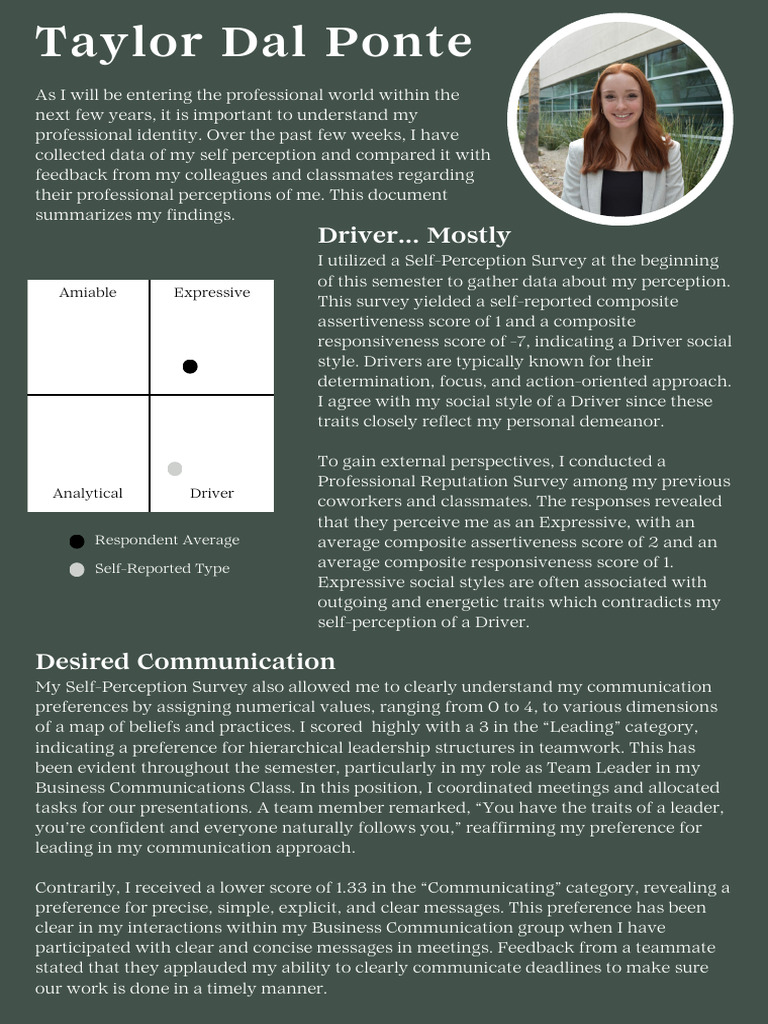 Professional Persona Summary 2 | PDF | Leadership | Cognitive Science Professional Persona Summary 2 | PDF | Leadership | Cognitive Science