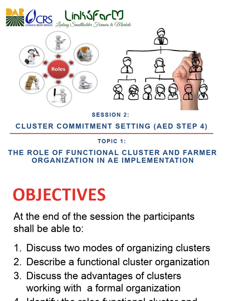 The Roles of Functional Cluster and Farmer Organization in AE ...