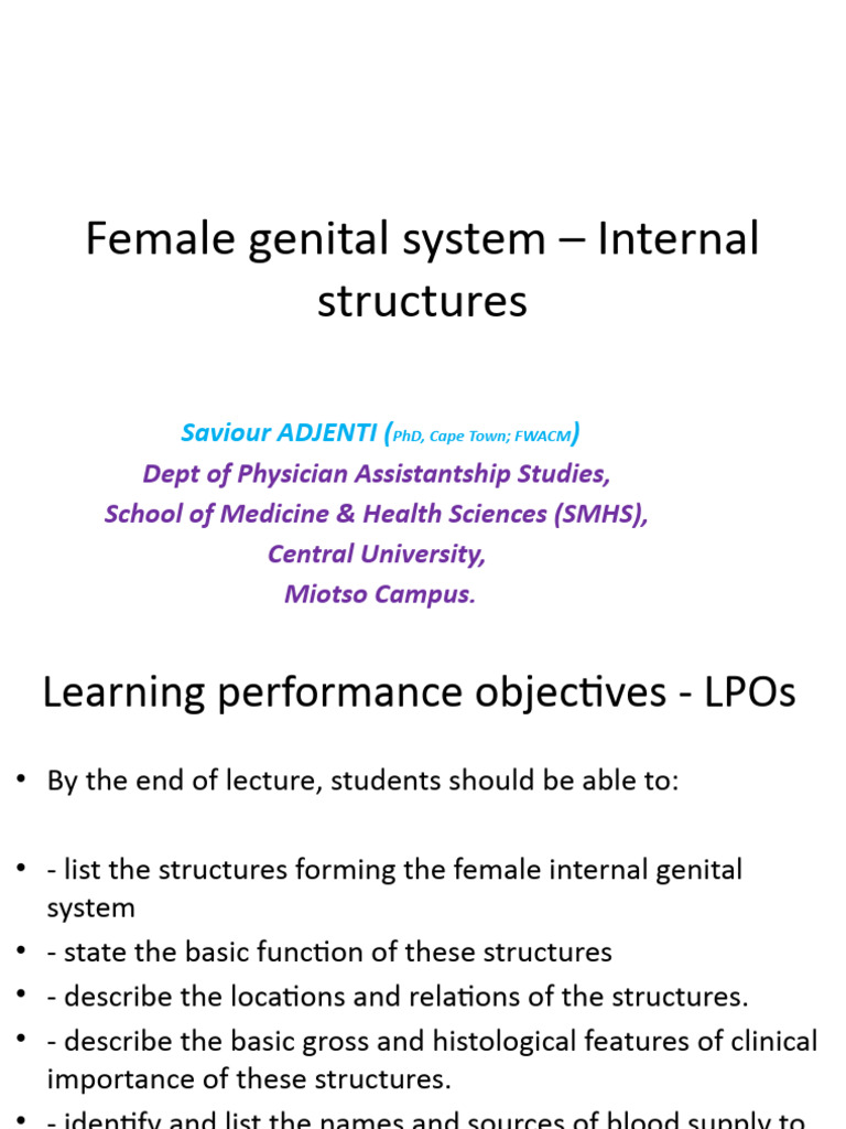 Female Genital System - Internal Structures (CU-PA-2020) | PDF | Uterus ...
