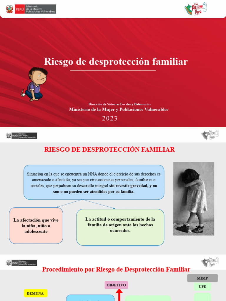 Riesgo de Desprotección Familiar, Conceptos e Instrumentos de Valoración | PDF | Riesgo ...