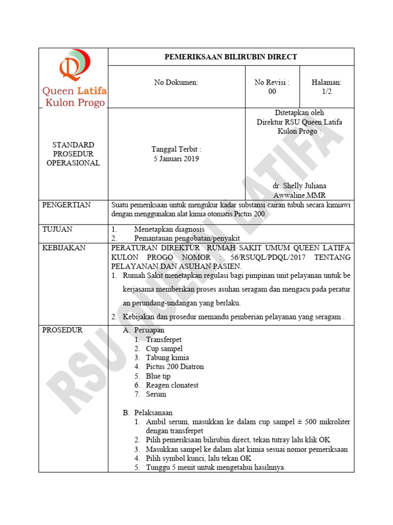 Pemeriksaan Bilirubin Direct Editkp Pdf