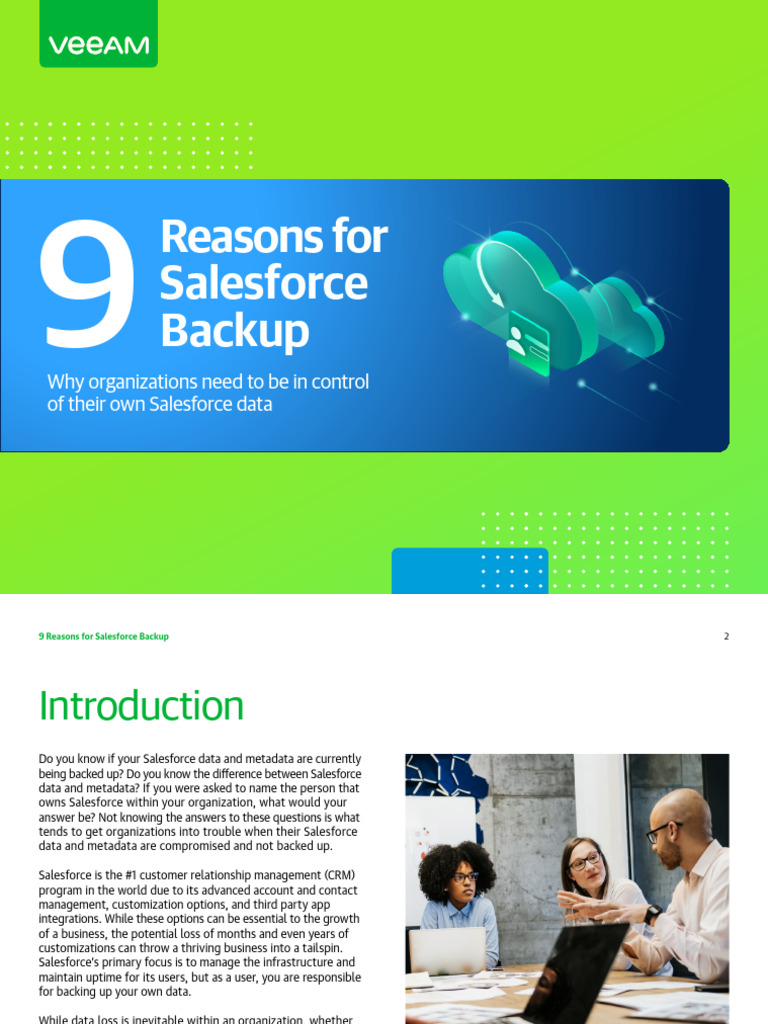 Salesforce Backup Reasons | PDF | Backup | Metadata