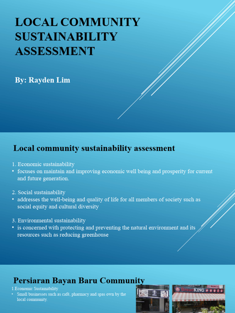Geography Project | PDF | Sustainability | Air Pollution