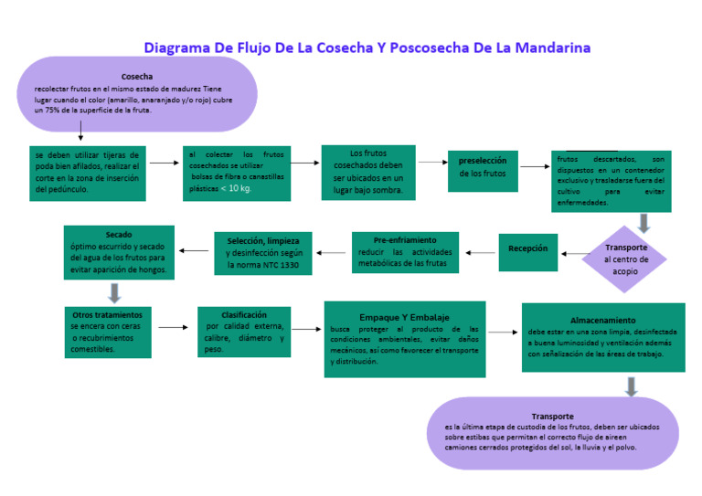FLUJOGRAMA - Mandarina | PDF