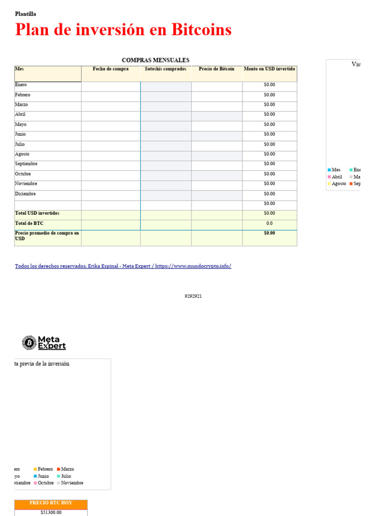 Plantilla-Plan de Inversion en Bitcoins - Meta | PDF | Bitcoin