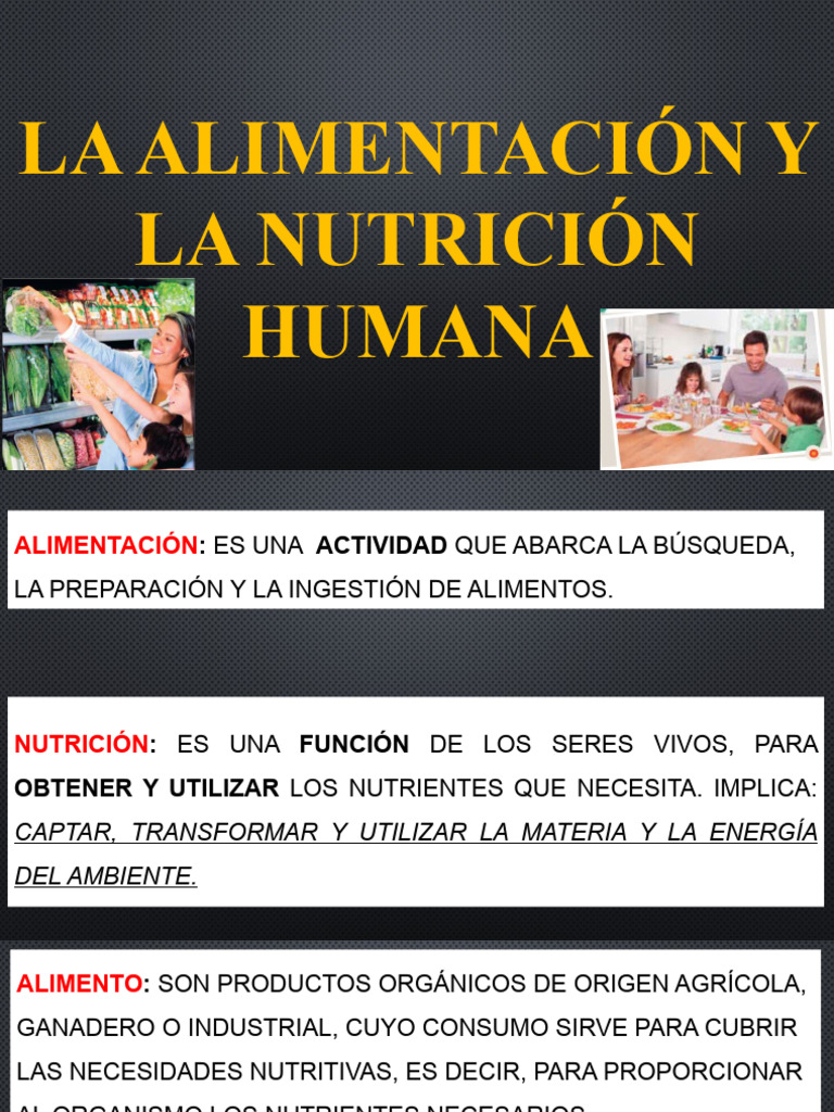 La Alimentación y La Nutrición Humana | Descargar gratis PDF ...