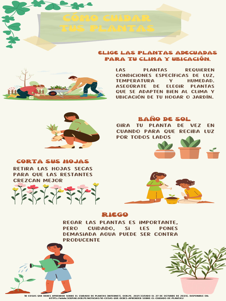 Infografía Como Cuidar Tus Plantas Pdf