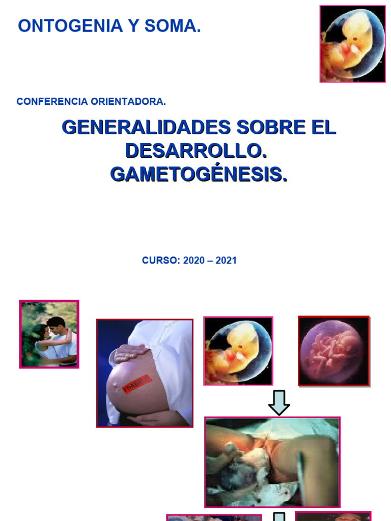 Generalidades Del Desarrollo y Gametogenesis Mandar Niuxia | PDF ...