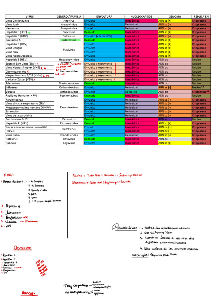 Cuadro Virus Micro 1-1 | PDF | Virus | Causas de la muerte