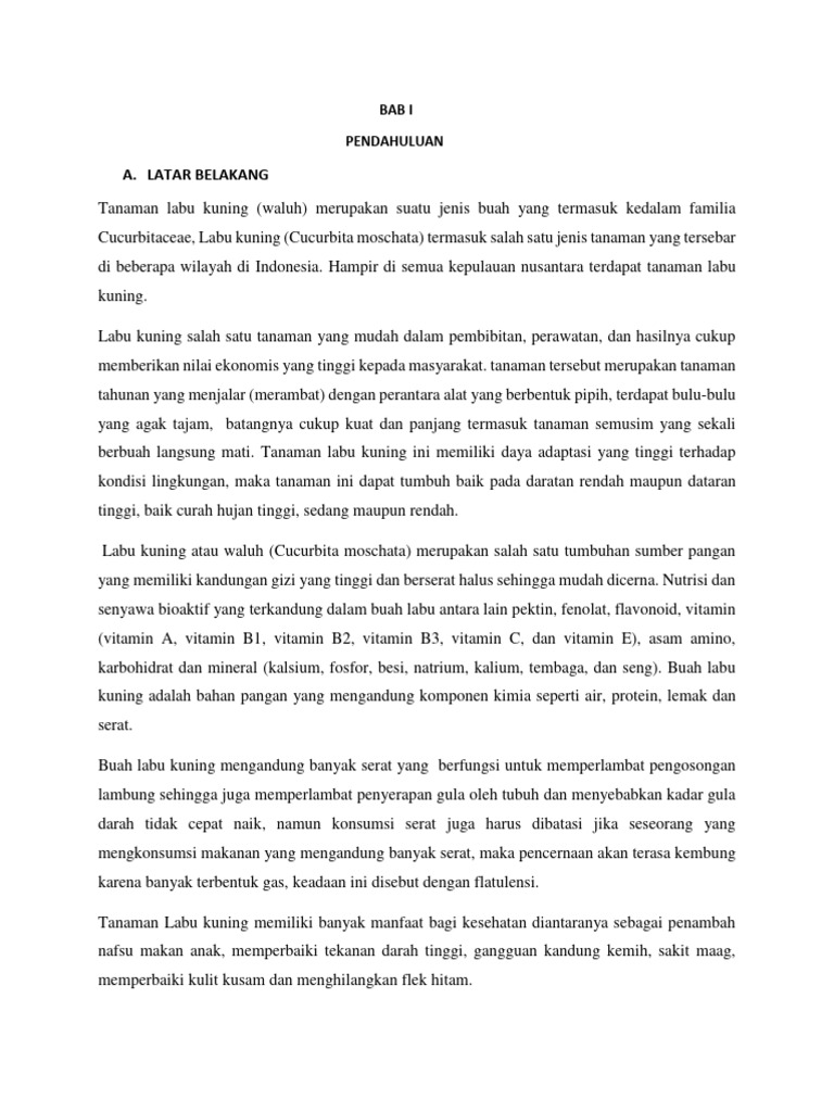 Manfaat Labu Oren dalam Stick Keju | PDF | Kesehatan Holistik