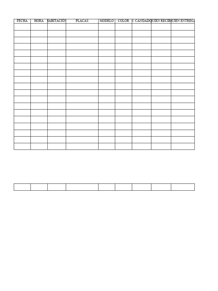 Formato Estacionamiento | PDF