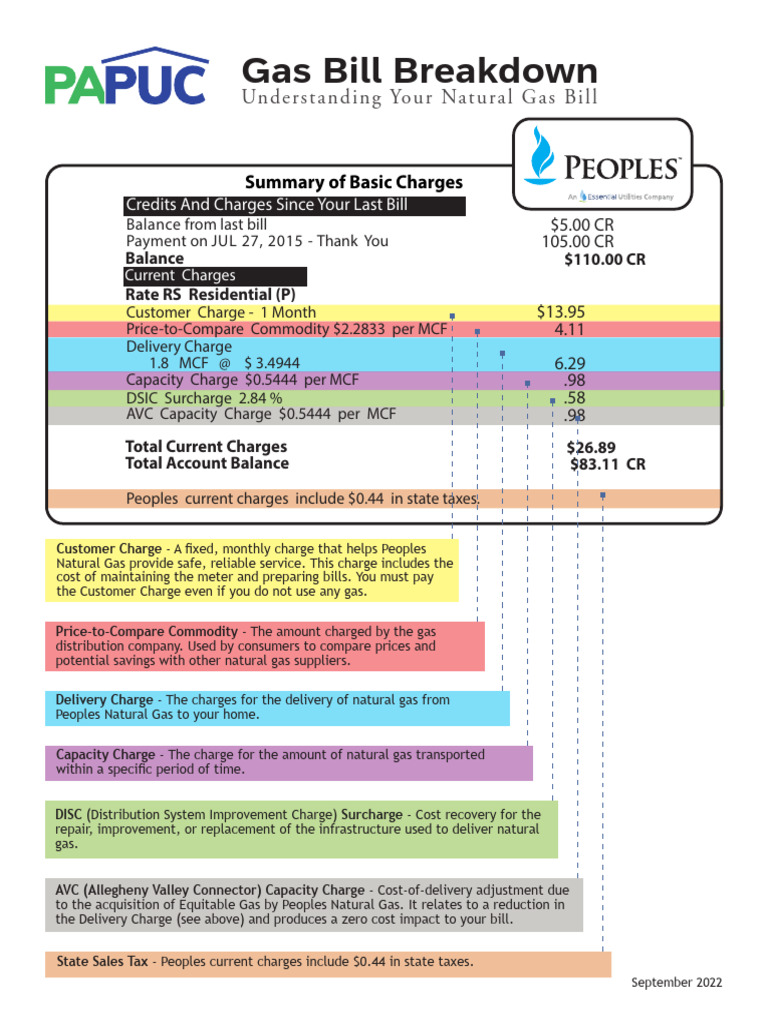 22 Samplebill Peoples | PDF