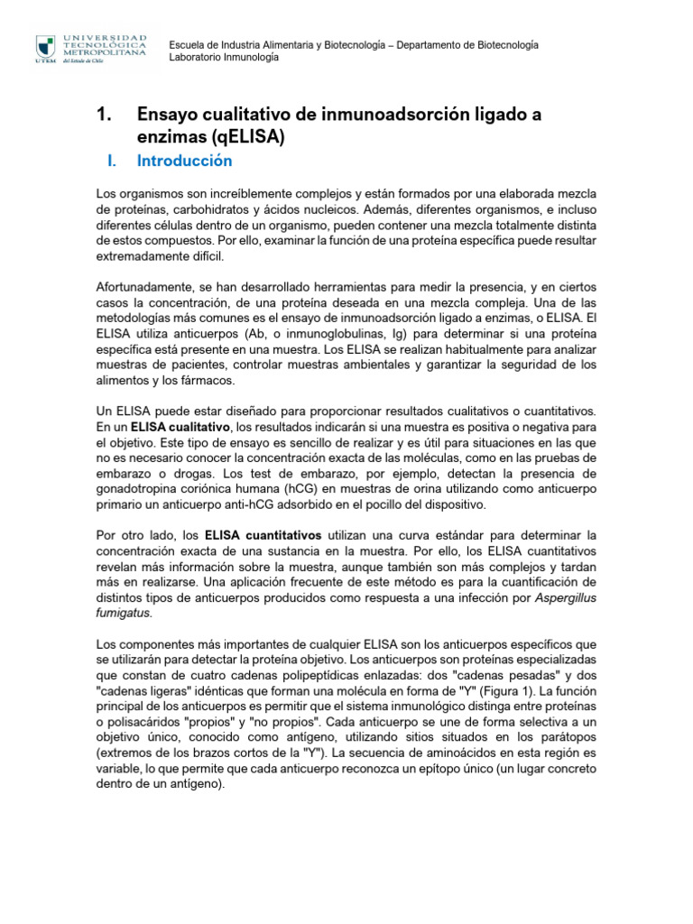 ELISA cualitativo . Guía 2 | PDF | Elisa | Anticuerpo
