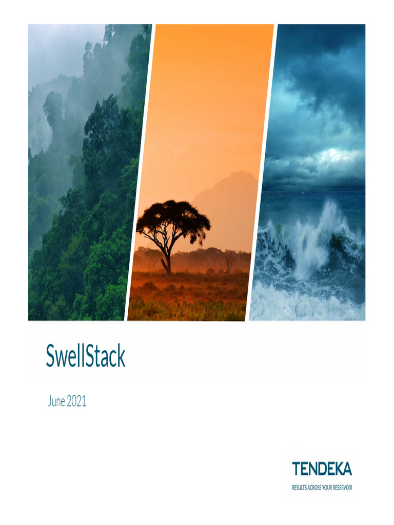 SwellStack 2021 | PDF | Mechanical Engineering | Physical Sciences
