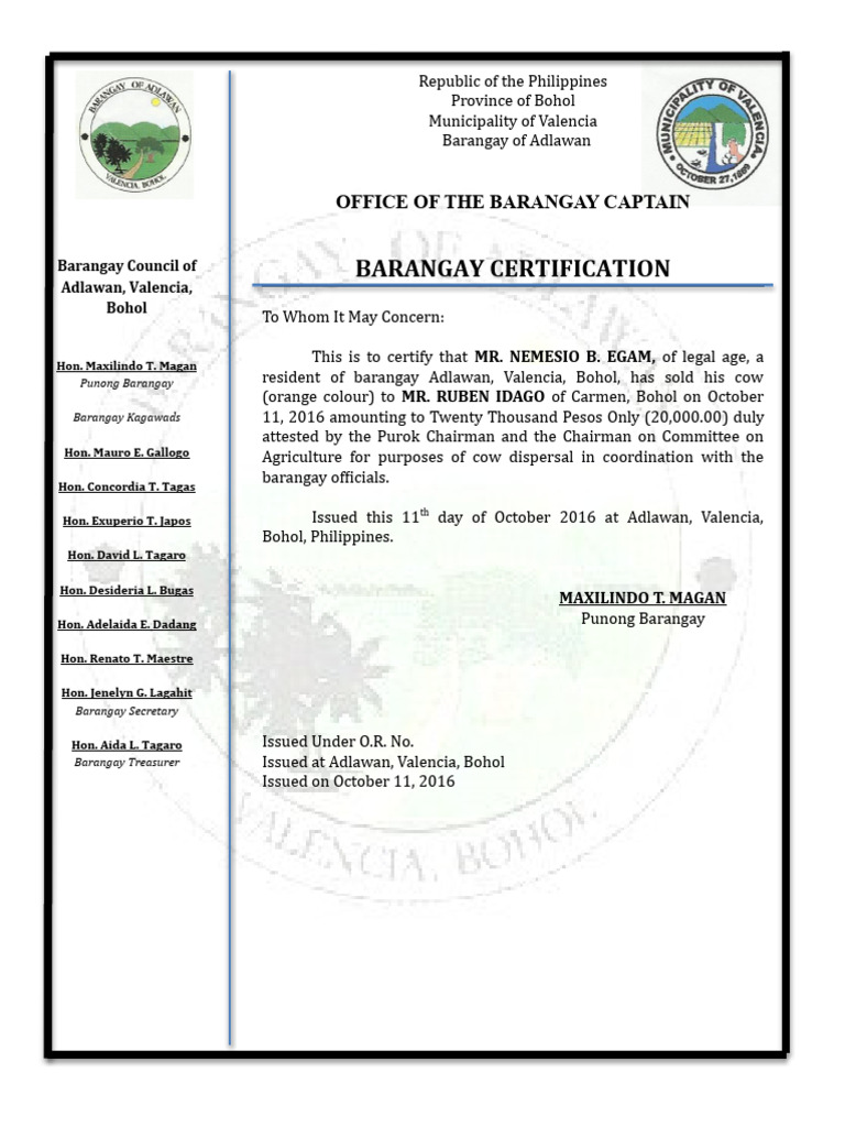 BARANGAY CERTIFICATION Cattle | PDF