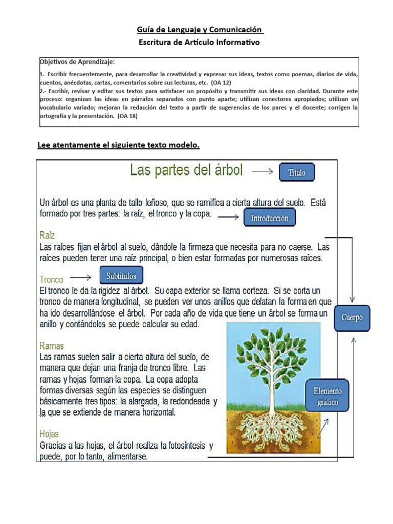 Escritura de Texto Informativo | PDF | Comunicación | Puntuación