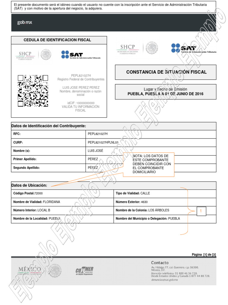 Sat Ejemplo | PDF | Gobierno