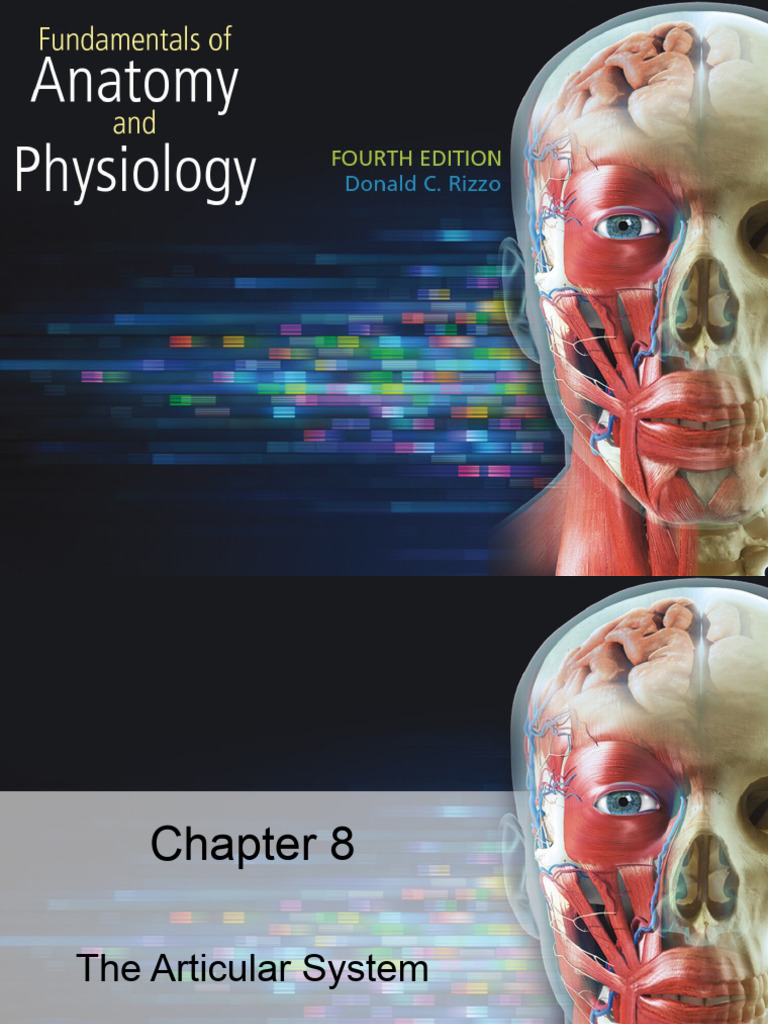 The Articular System | PDF | Anatomical Terms Of Motion | Joint