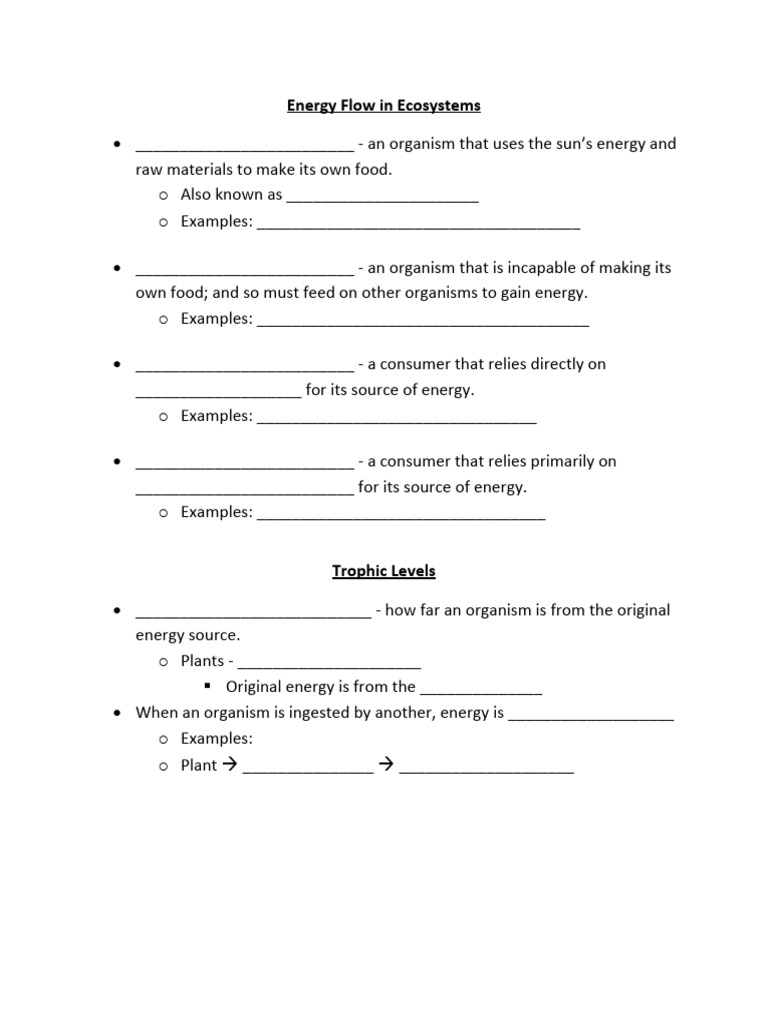 Energy Flow in Ecosystems Explained | PDF | Food Web | Ecosystem