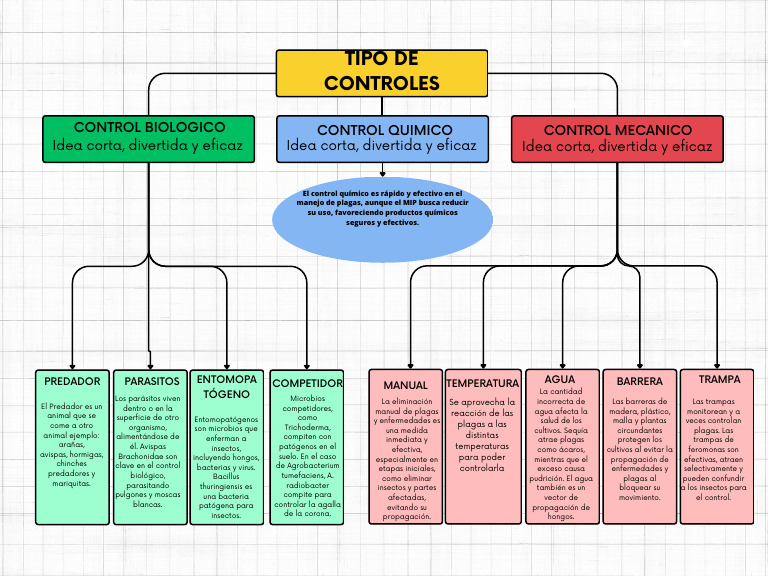Mapa Conceptual | PDF | Insectos | Plaga (organismo)
