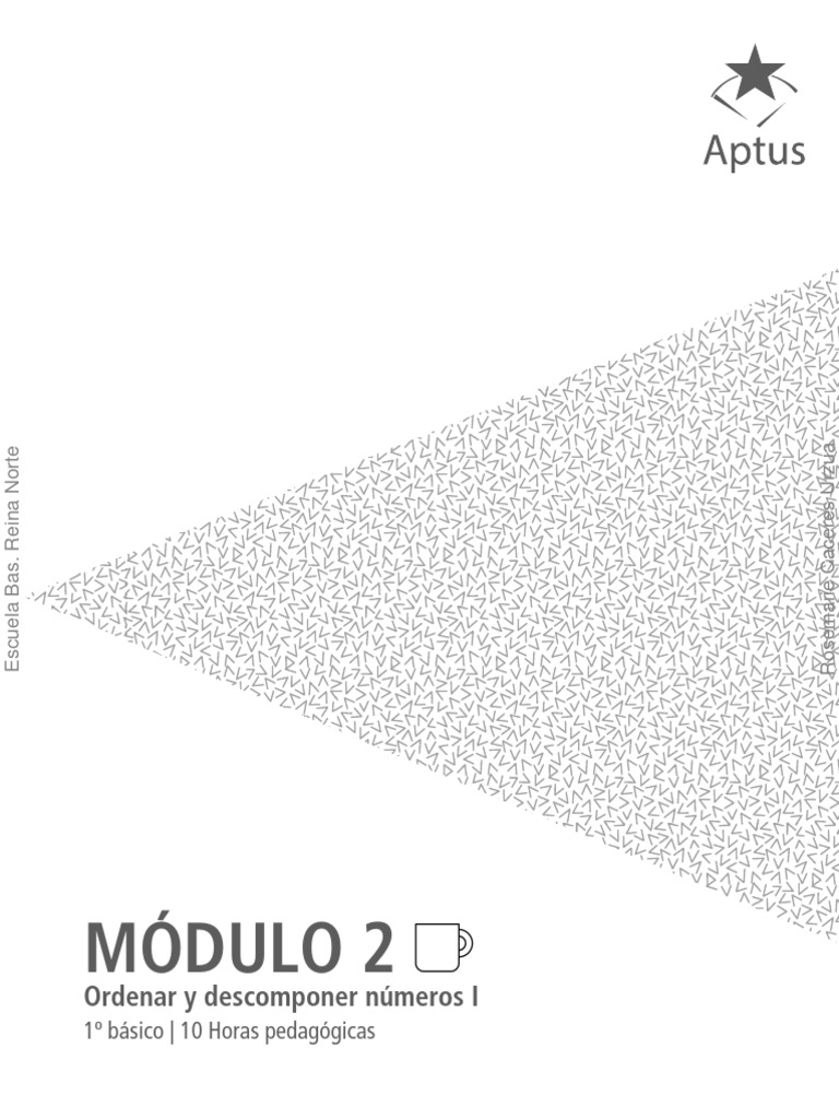 2 - 2023 1 Basico Matematica Modulo 2 Material Del Módulo-Cuaderno de Trabajo Del Profesor | PDF