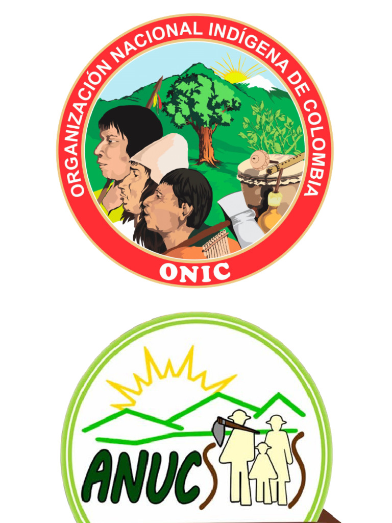 Imagenes Anuc y Onic | PDF