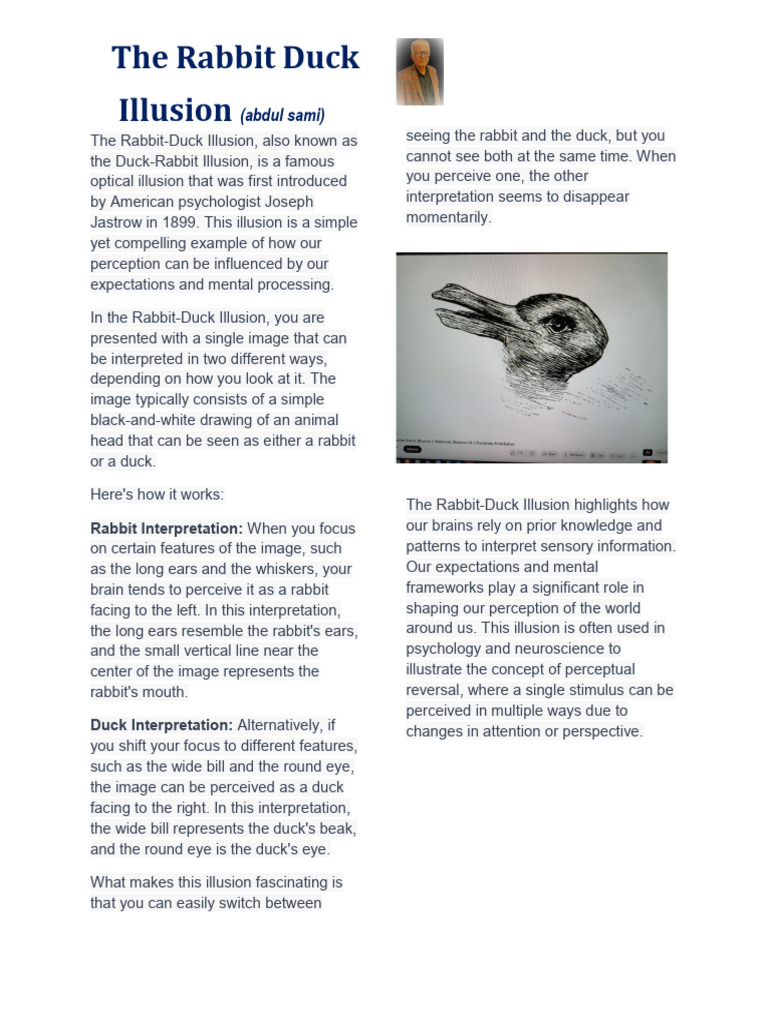 The Illusion | PDF | Perception | Illusion