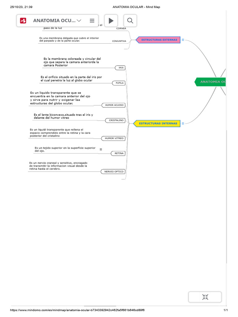 ANATOMIA OCULAR - Mind Map | PDF | Ojo humano | Ligero