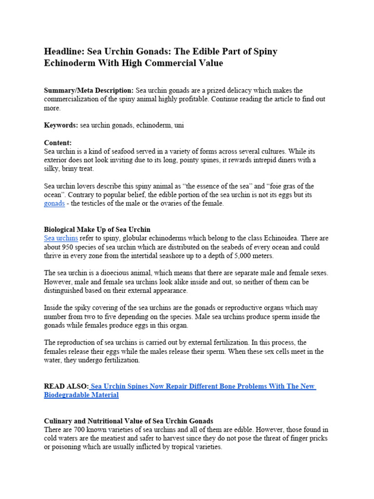 Sea Urchin Gonads - The Edible Part of Spiny Echinoderm With High ...