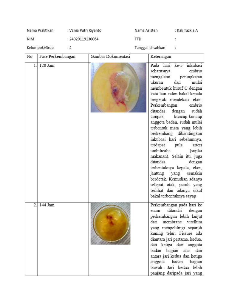 Perkembangan Embrio Ayam 120-192 Jam | PDF