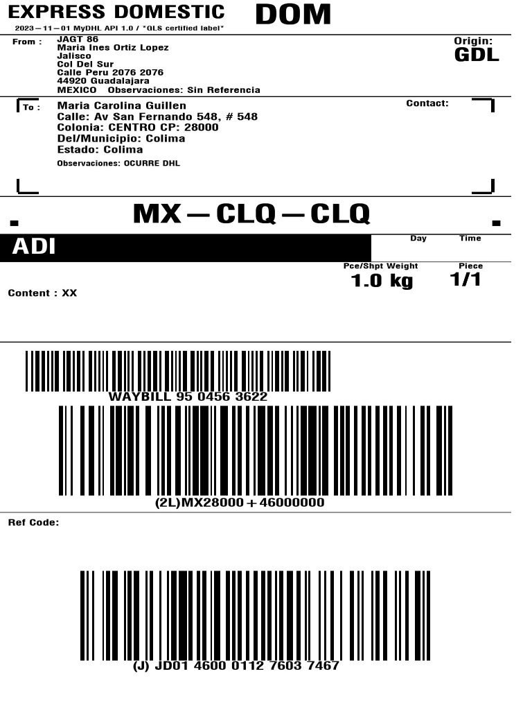 DHL Express Domestic Shipment Details | PDF