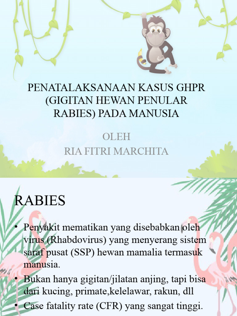Penatalaksanaan Kasus GHPR (Gigitan Hewan Penular Rabies | PDF