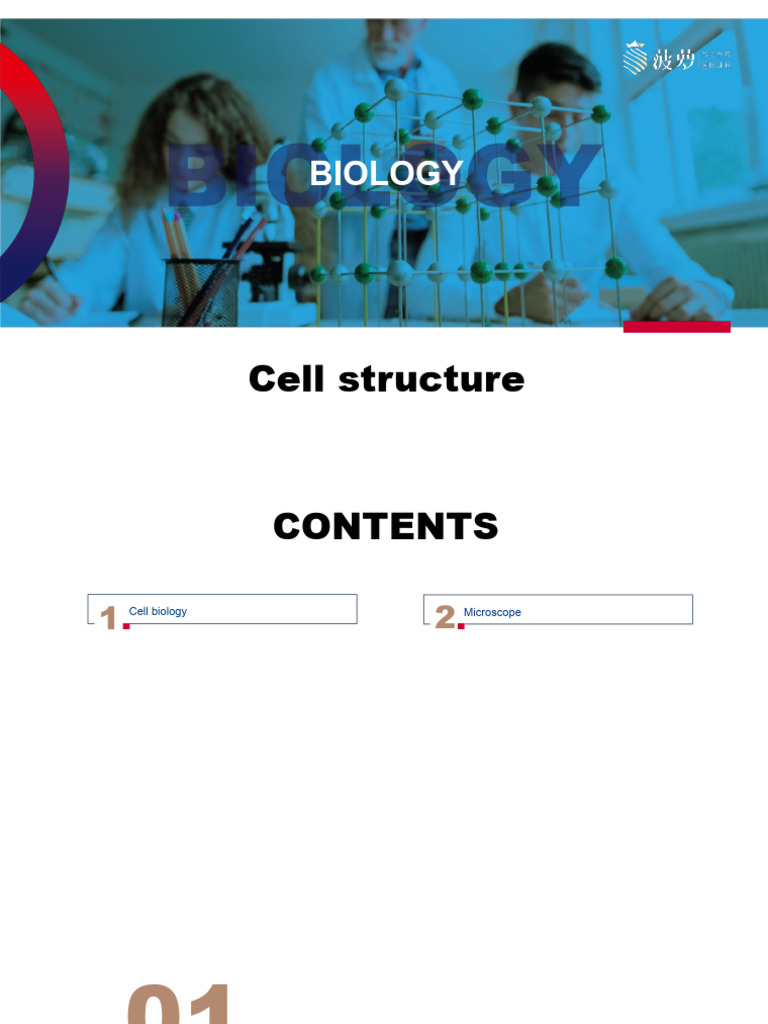 Cell Structure | PDF | Cell (Biology) | Endoplasmic Reticulum