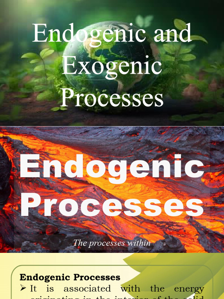 Group 4 Endogenic and Exogenic Processes | PDF | Weathering | Rock ...