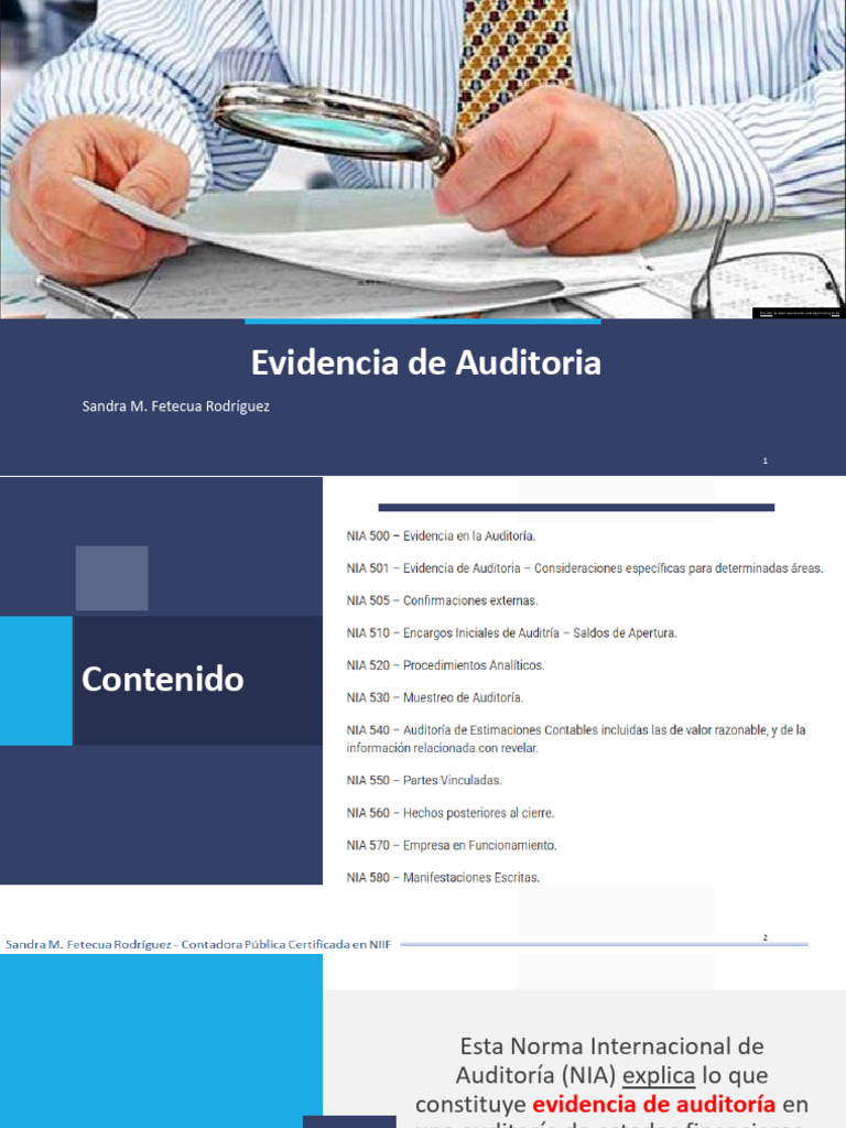 Evidencia de Auditoría: Guía Completa | PDF | Auditoría | Contralor