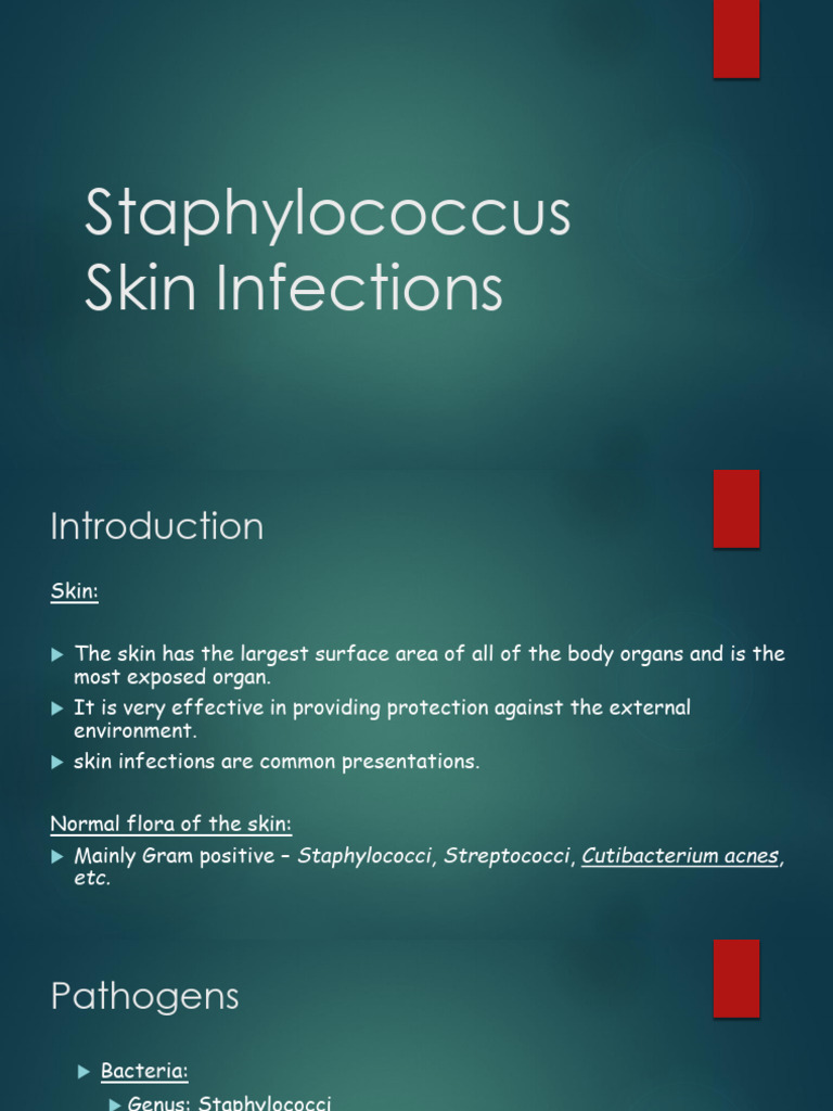 Staph and Strep Skin Infectons | PDF | Staphylococcus | Staphylococcus ...