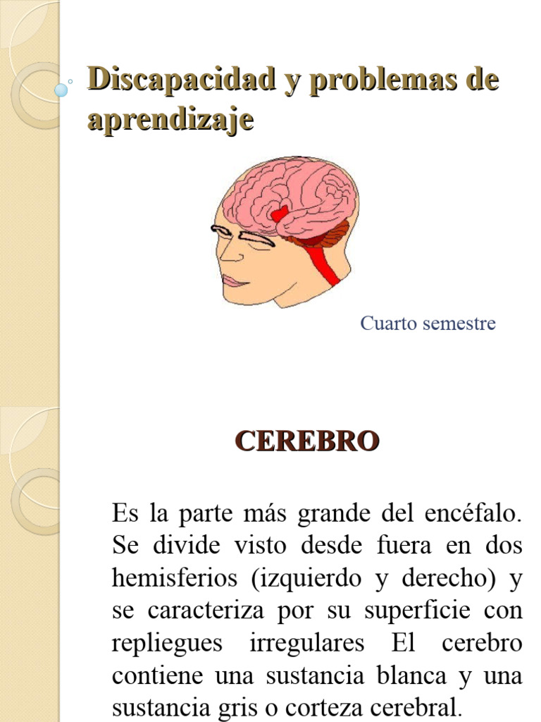 Forma Cerebro Pdf Cerebro Hemisferio Cerebral