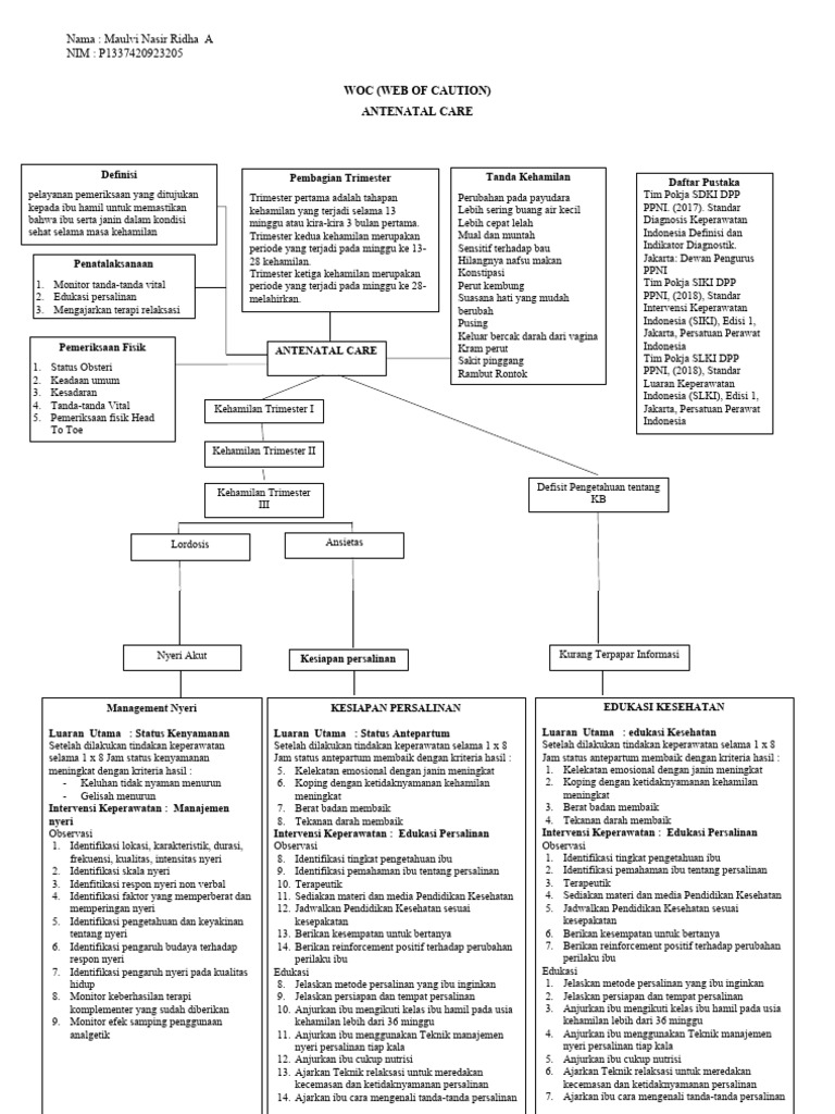 Panduan Antenatal Care untuk Ibu Hamil | PDF