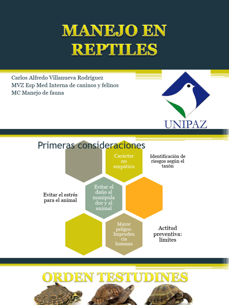 Manejo de Reptiles | PDF