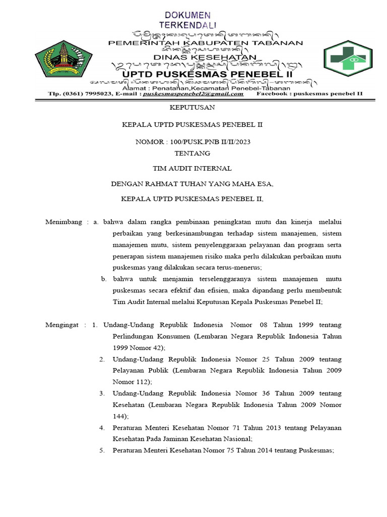 Pembentukan Tim Audit Internal Puskesmas | PDF