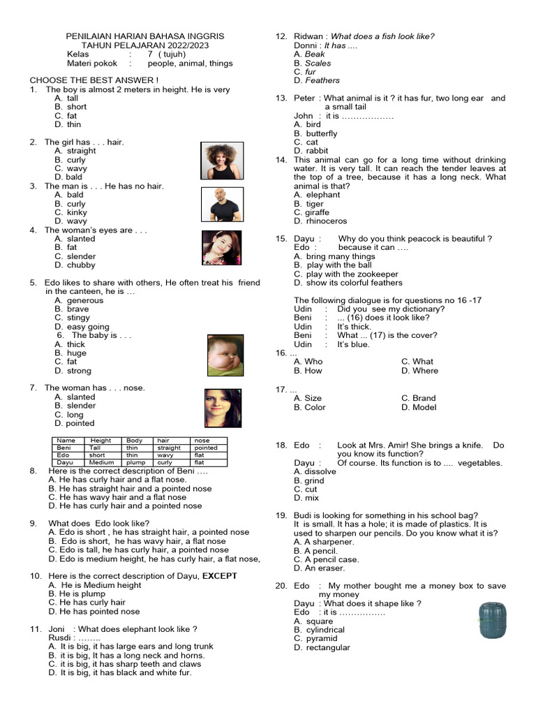 Exercises About People, Animal, Things | PDF