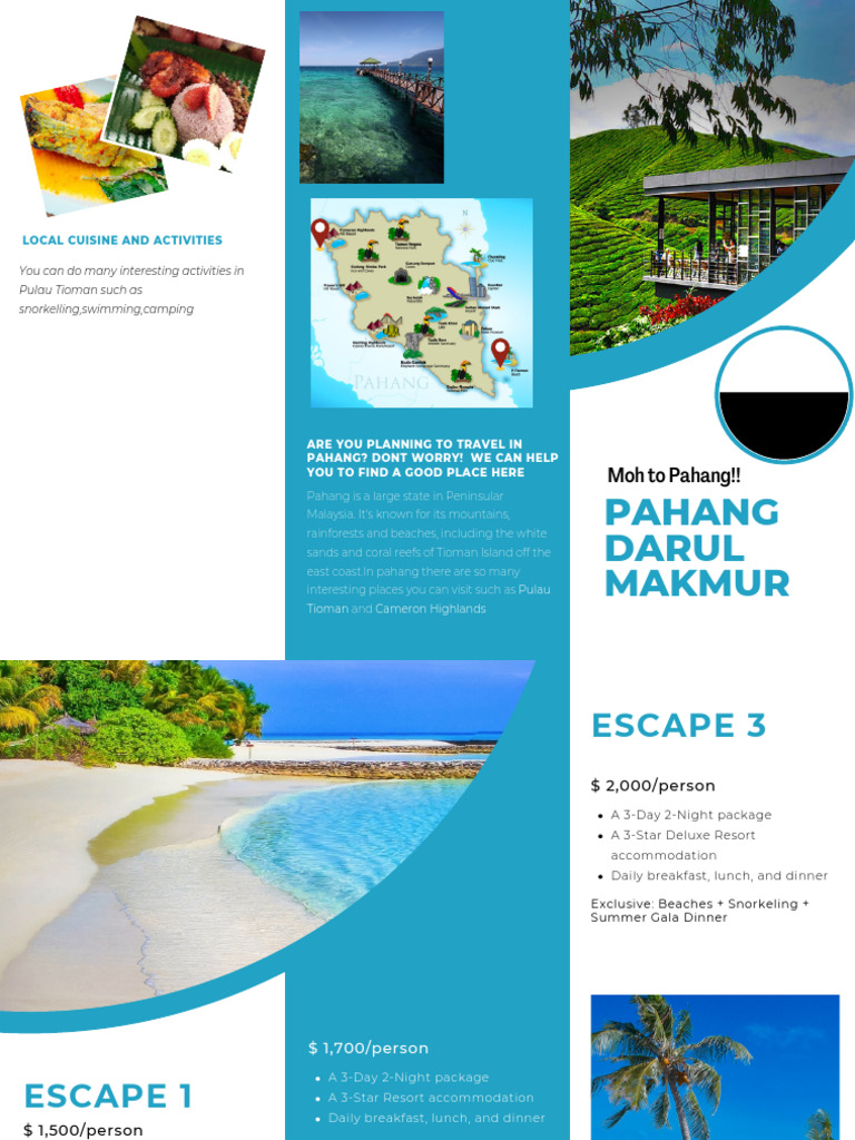 Blue Modern Vacation Packages Trifolds Brochure | Download Free PDF | Tourism