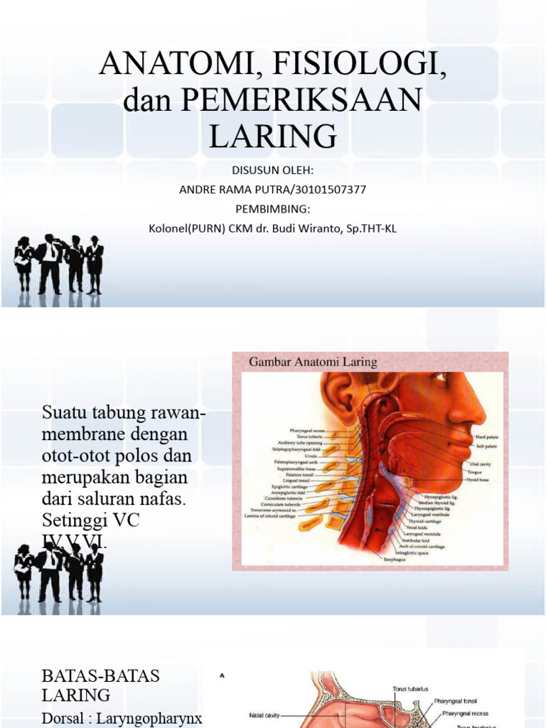 Anatomi & Fisiologi Laring | PDF