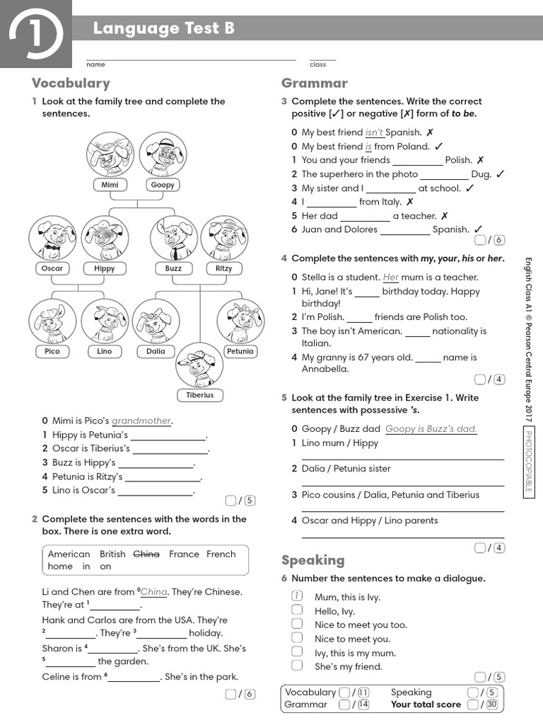 A1 English Class Unit 1 Test | PDF | Languages | Foreign Language Studies
