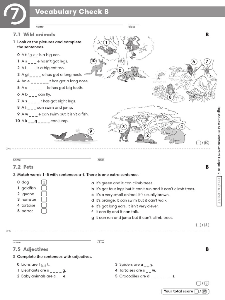 Eca1 - Tests - Vocabulary Check 7b | Pdf